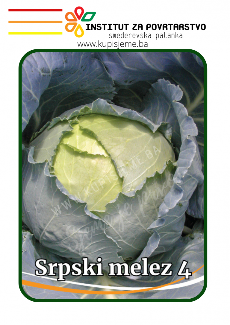 Sjeme kupusa Srpski melez 4 - 5 grama Institut Smederevska Palanka ...